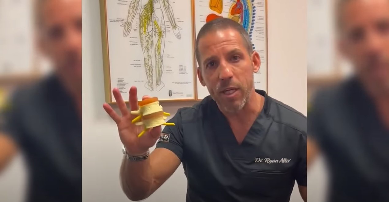 Spinal Anatomy Lesson - Alter Chiropractic